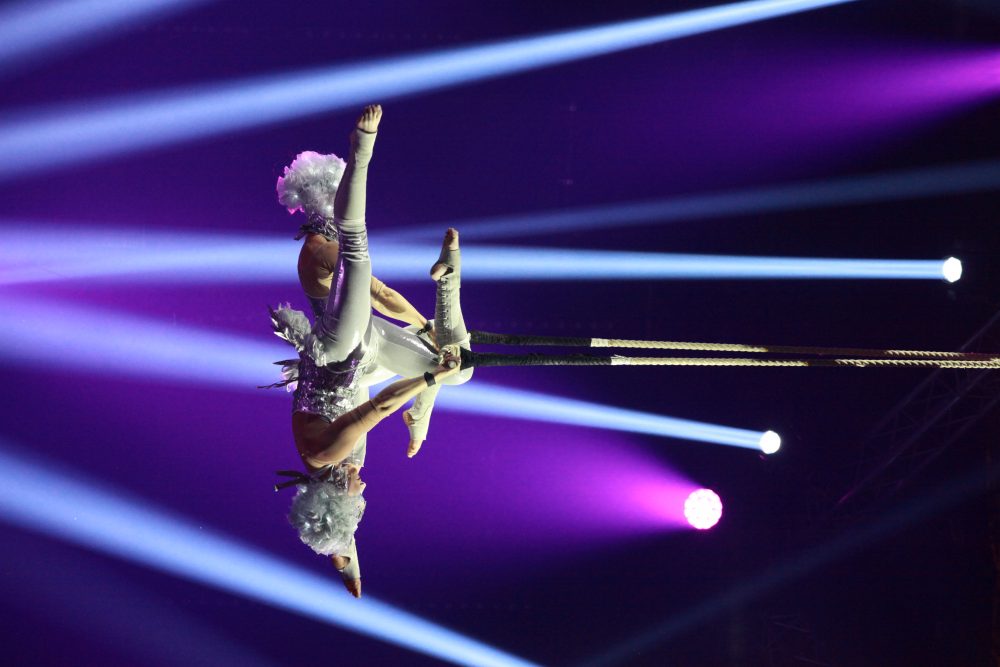 Gallery - Vivid Experience