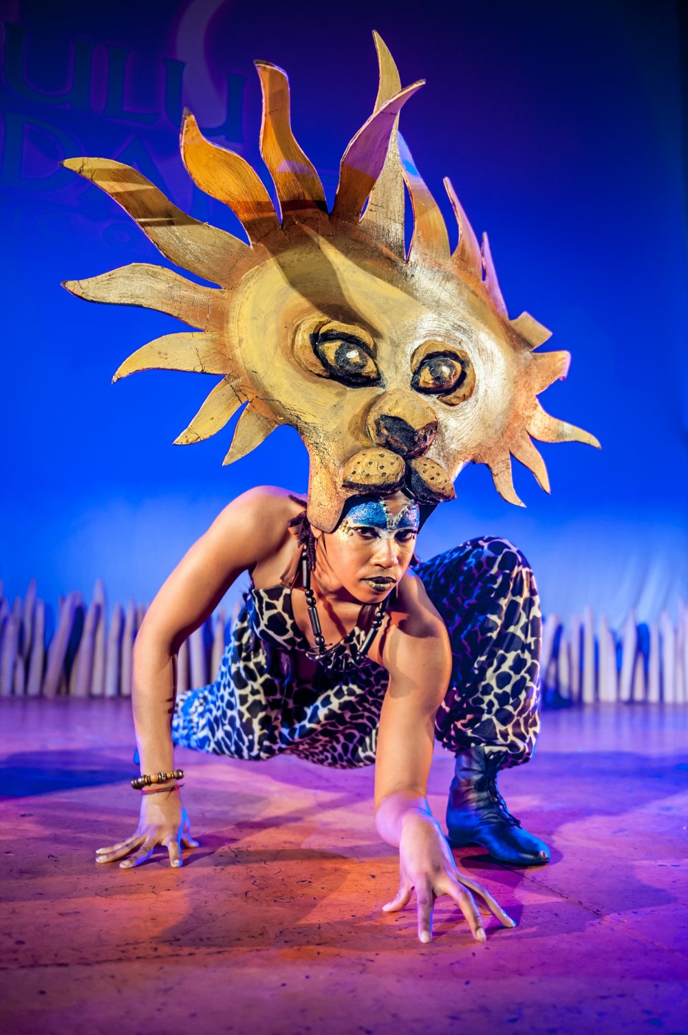 Gallery - Vivid Experience