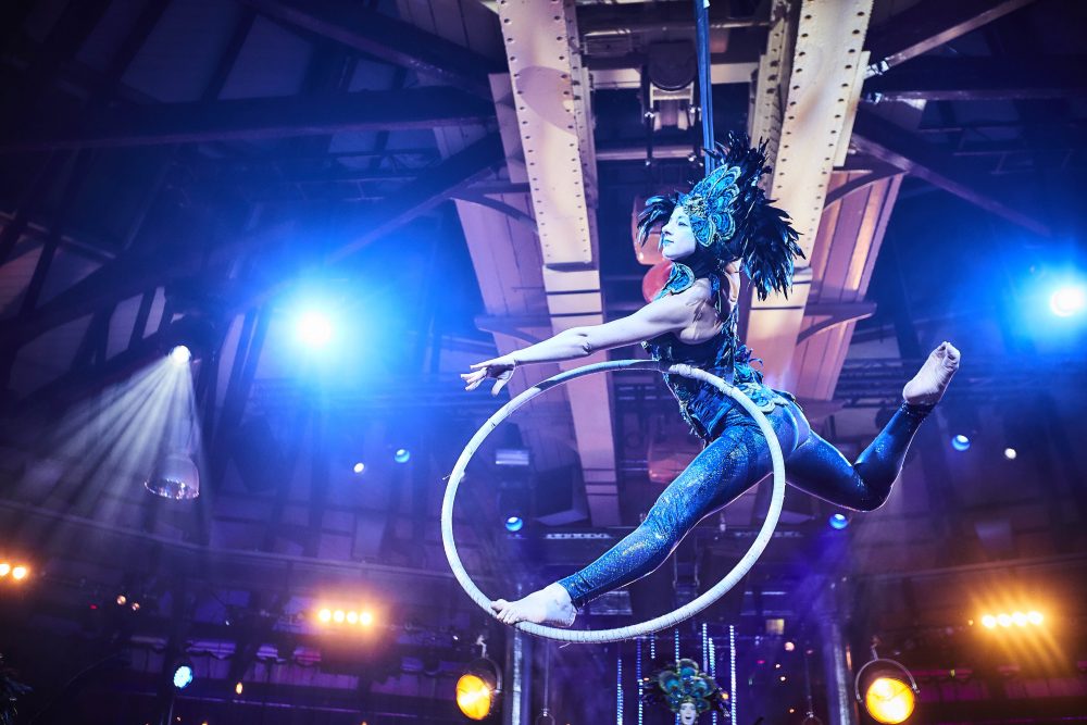 Gallery - Vivid Experience